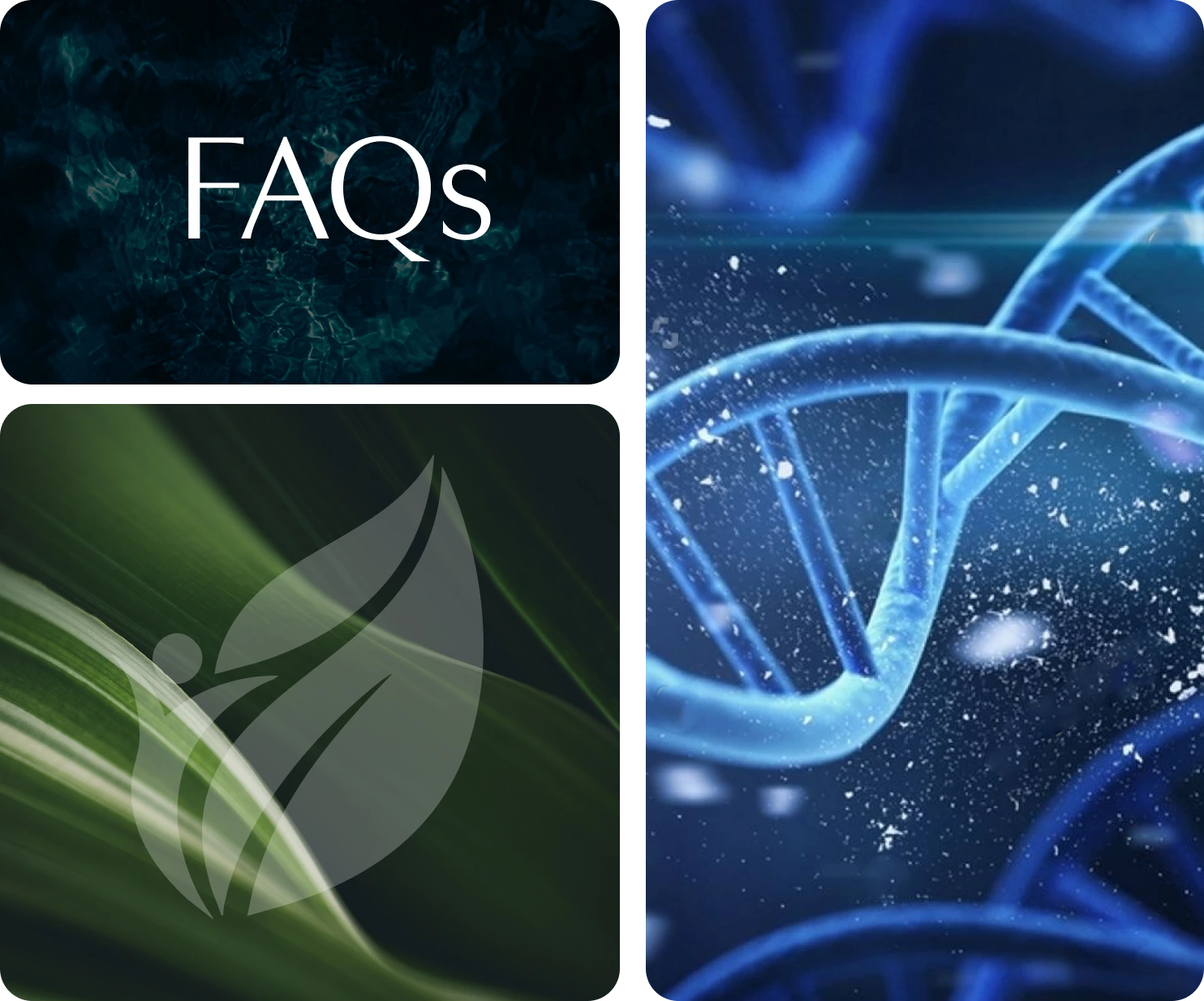 Stem Cell Clinic in Virginia Beach, VA | New Life Medical